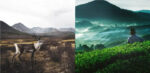 10 Essential Photo Editing Techniques Every Photographer Should Know