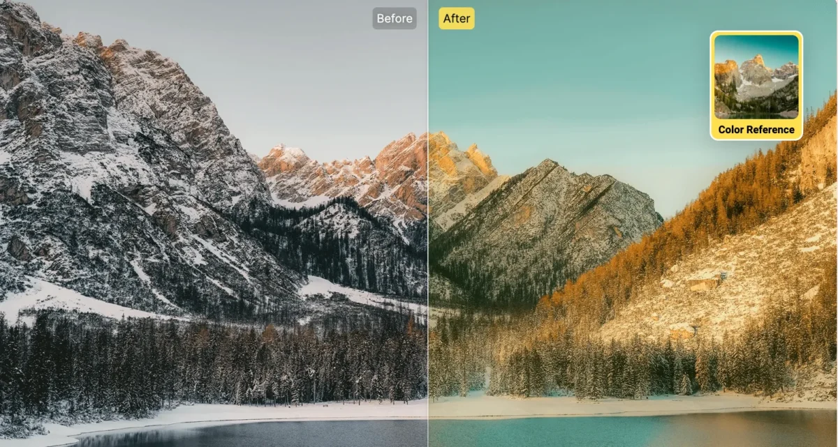 Why Do My Photos Look Dull? The 5-Minute Guide to Vibrant, 'Poppy' Colors