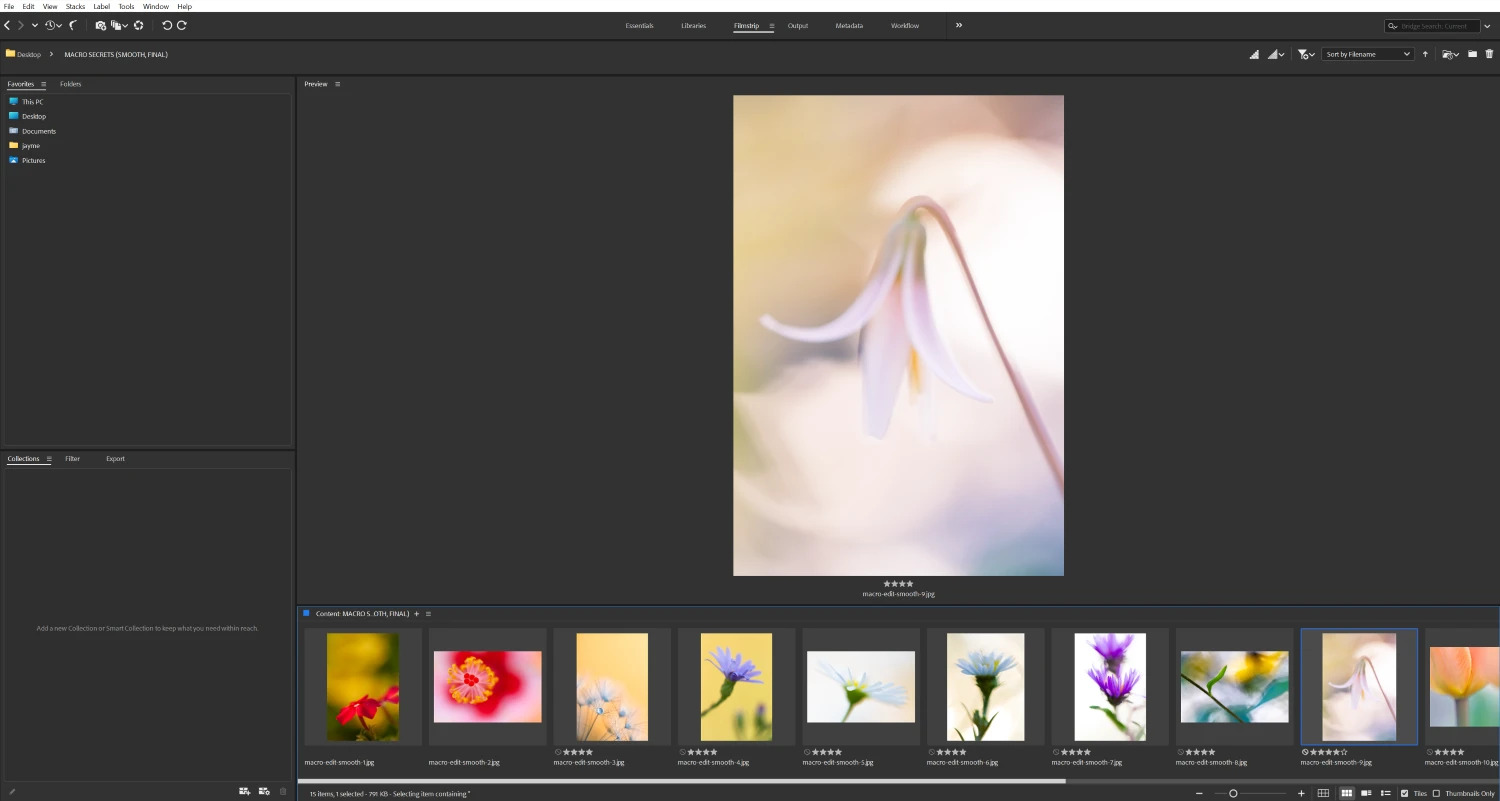 10 Best Photo Gallery Software Options for Professionals in 2025