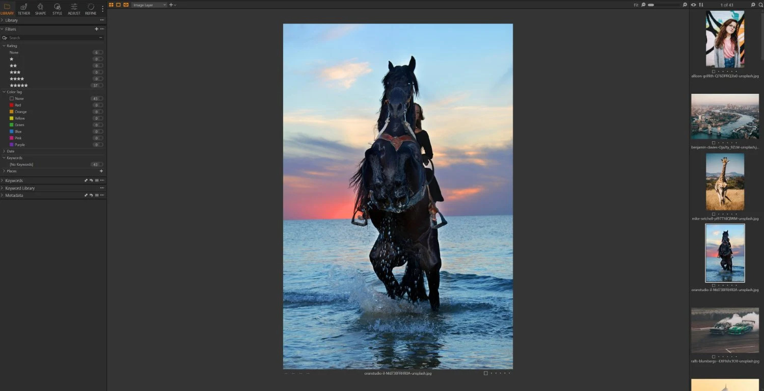 10 Best Photo Gallery Software Options for Professionals in 2025